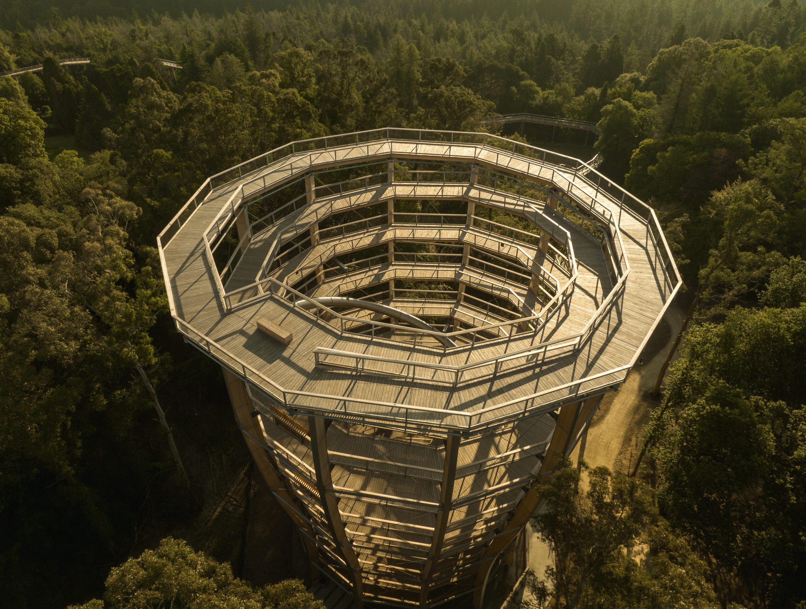 Beyond the Trees - An Enchanting Attraction in Wicklow - Yvonne Reddin