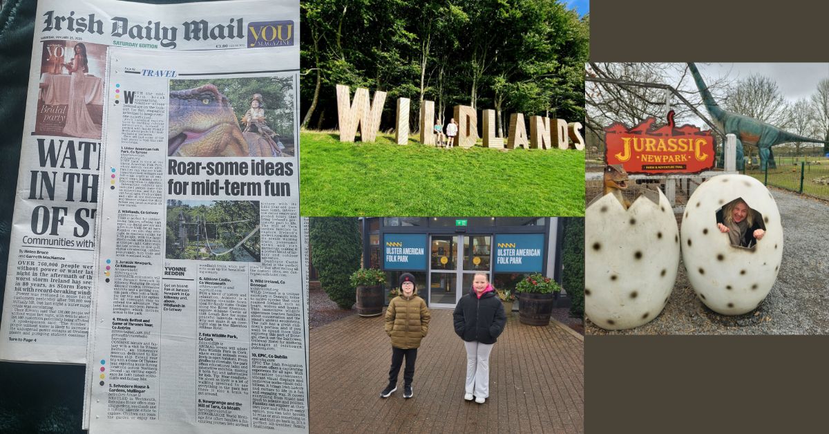 Roar-some ideas for mid-term fun – Yvonne Reddin